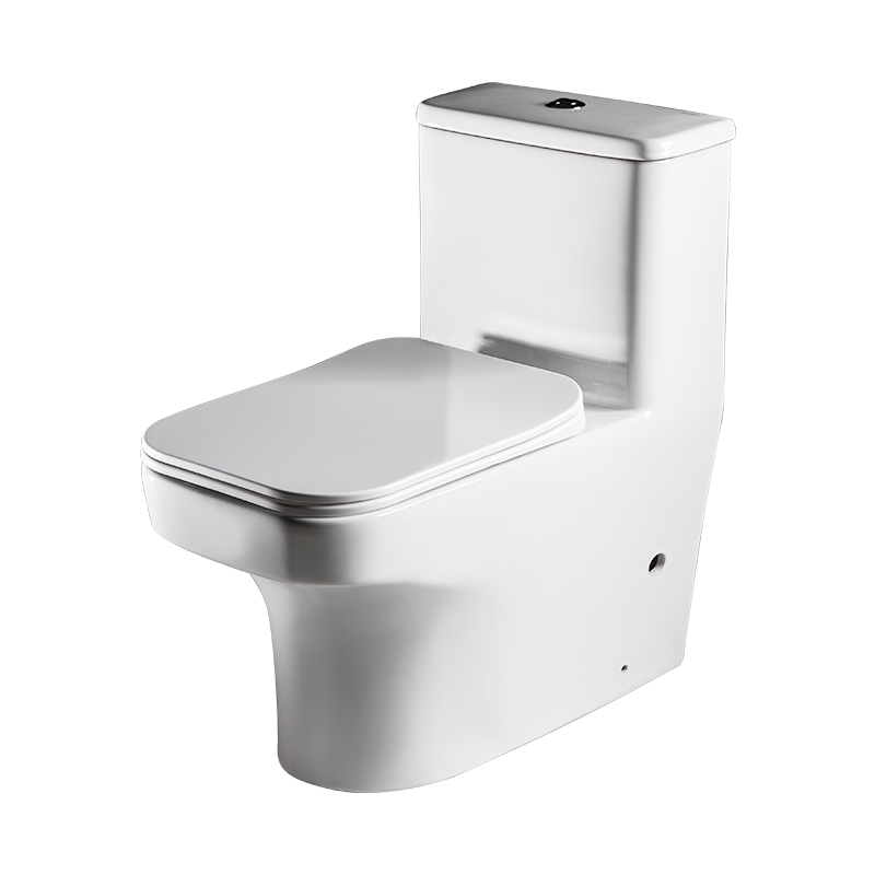Bravat One-piece Toilet - Superior Home